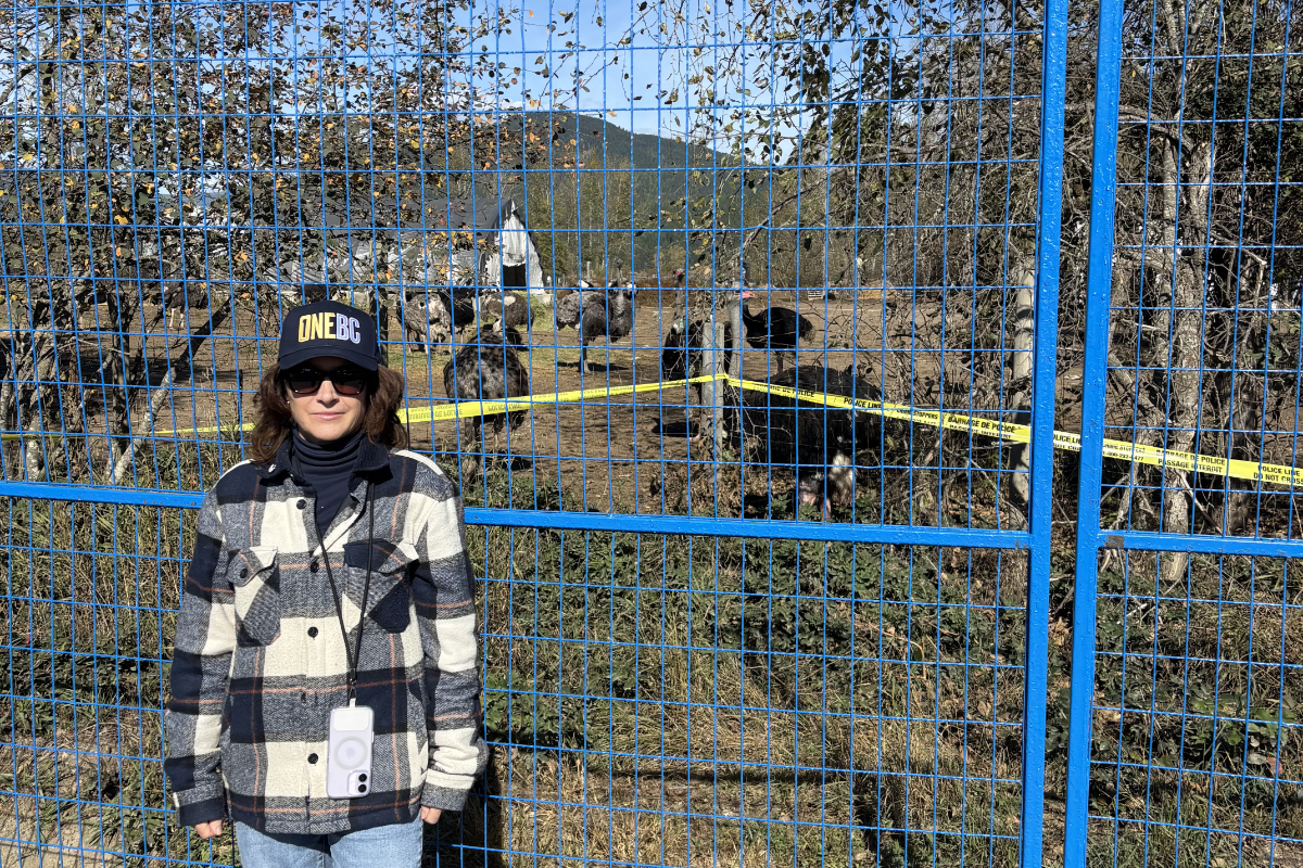 MLA Brodie visits B.C. ostrich farm, calls cull ‘government overreach ...